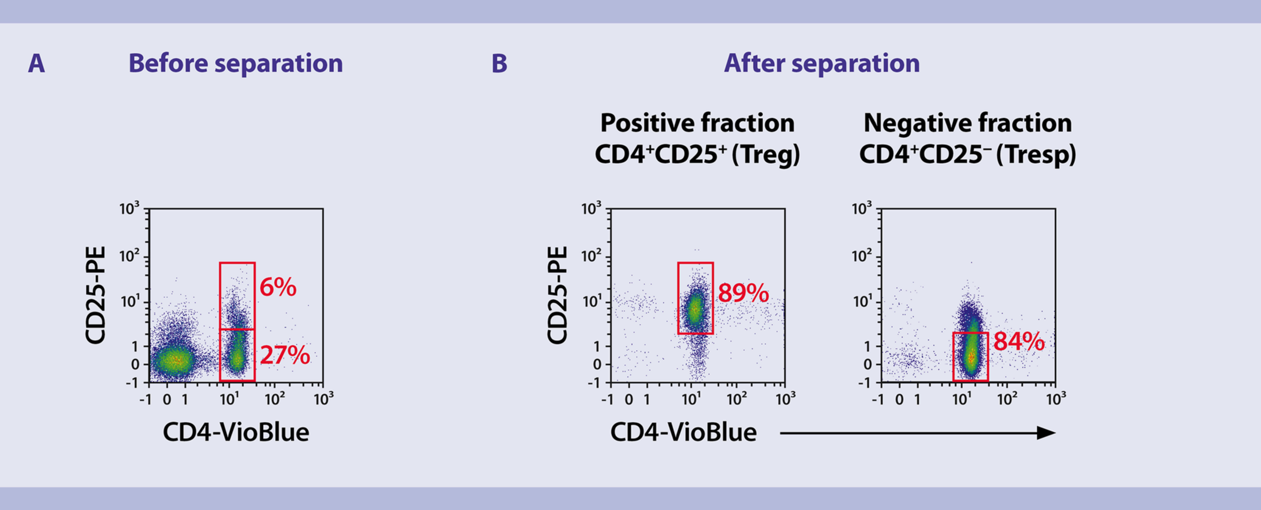 Regulatory T cells | T cell isolation | in vitro suppression | Miltenyi ...