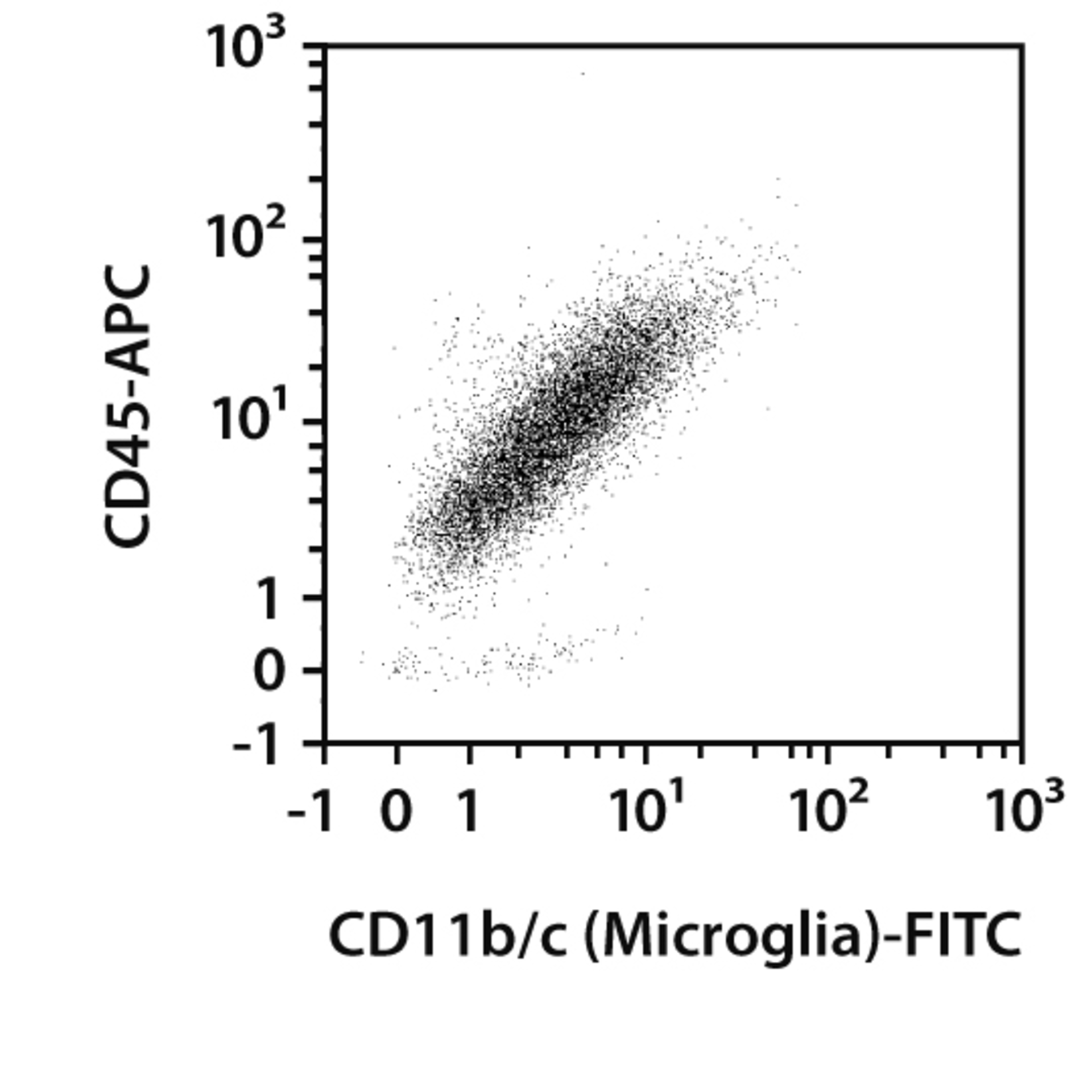 Microglia | Isolation and cultivation | Neonatal mouse or rat brain ...