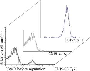 Anti-Cy7 MicroBeads | Miltenyi Biotec | USA