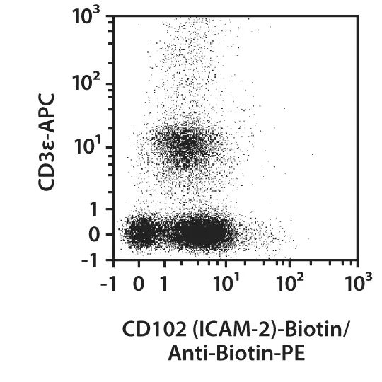 CD102 (ICAM-2) Antibody, anti-mouse, REAfinity™ | Miltenyi Biotec | USA