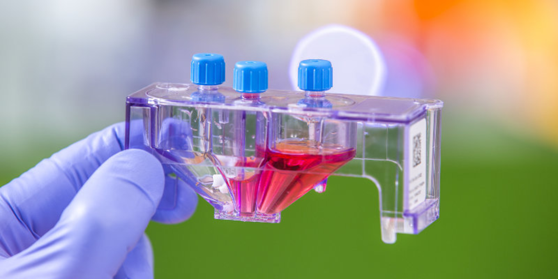 MACSQuant® Tyto® | Miltenyi Biotec | India