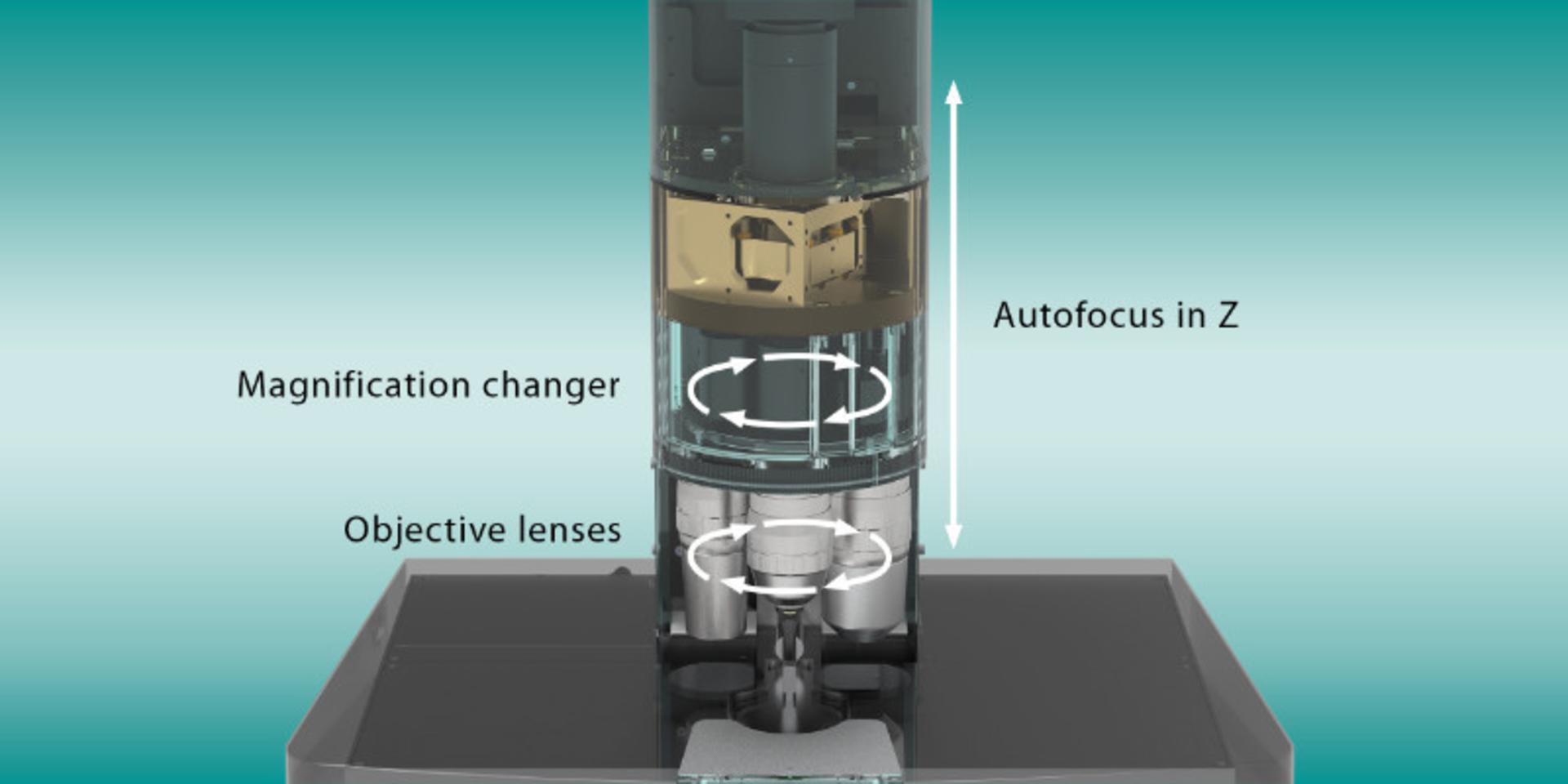 UltraMicroscope Blaze™ | Miltenyi Biotec | USA