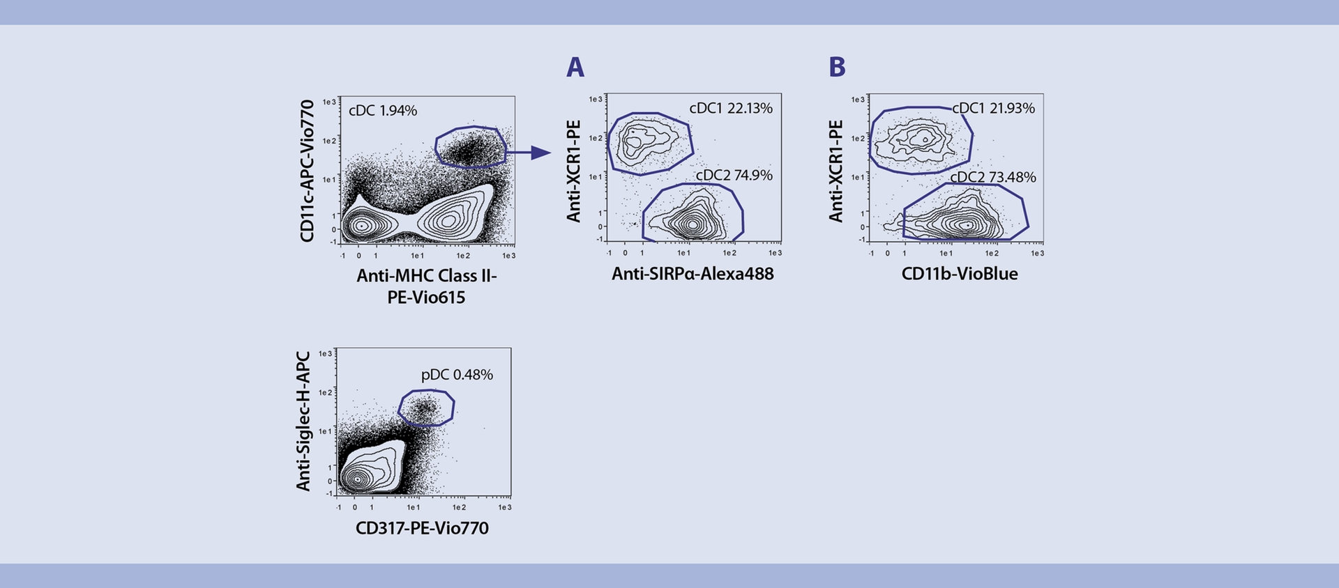 Flow cytometry | Dendritic cells from mouse spleen | Protocol ...