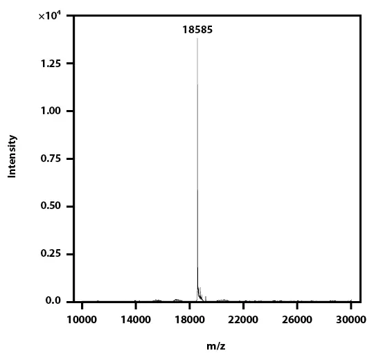 Human SCF | Miltenyi Biotec | India