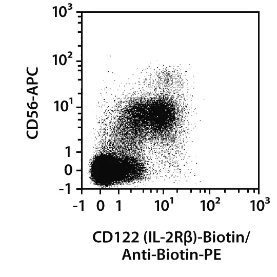 CD122 (IL-2Rβ) Antibody, anti-human, REAfinity™ | Miltenyi Biotec | USA