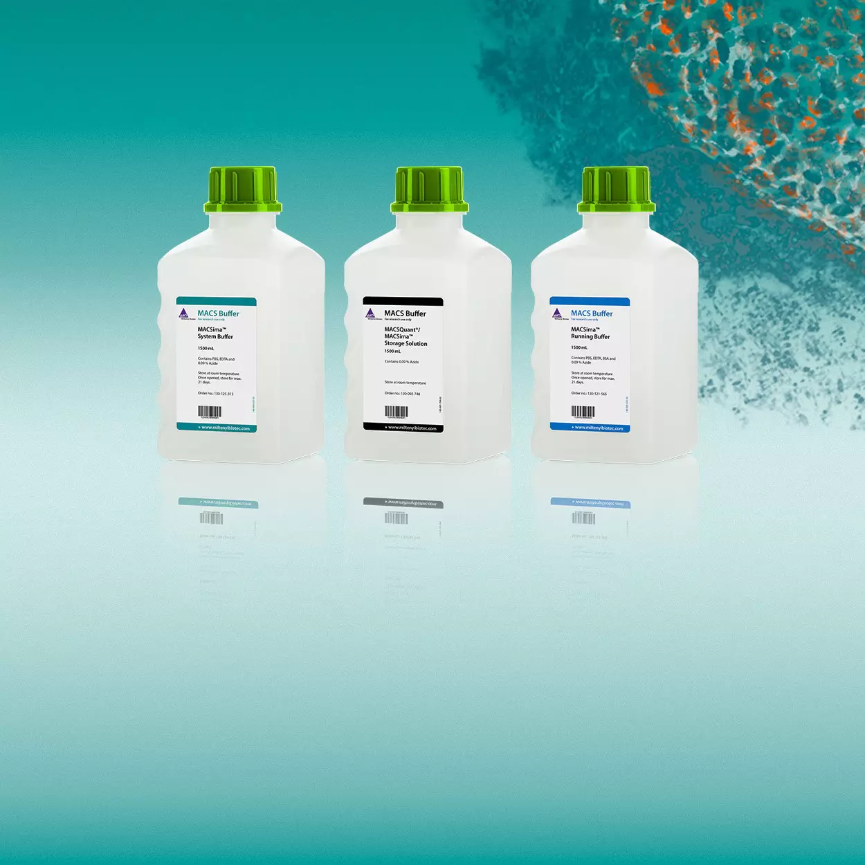 Spatial biology | MACSima™ Platform | Multiplex Imaging | Miltenyi ...