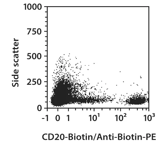 CD20 Antibody, anti-human | Miltenyi Biotec | Great Britain