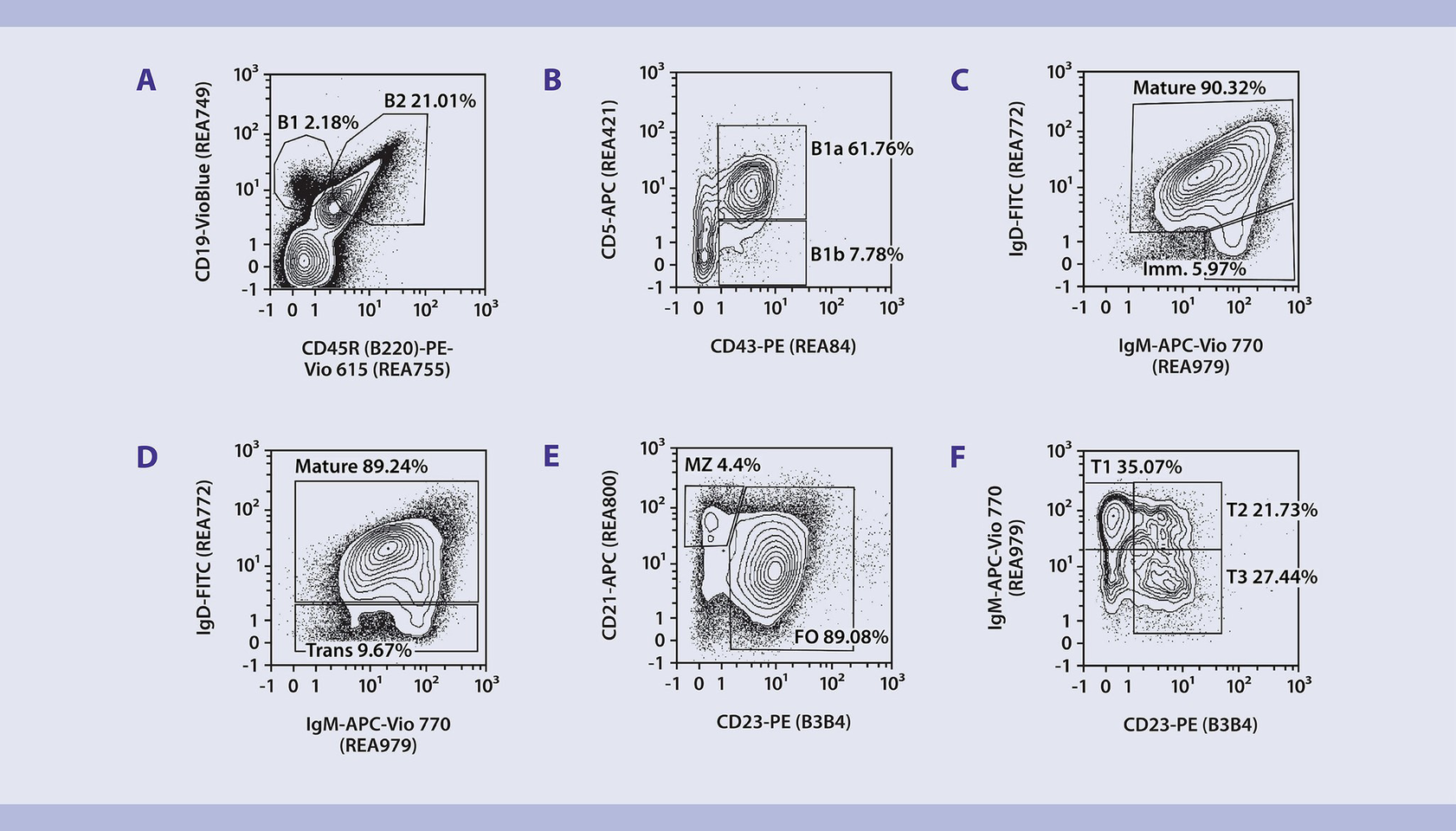 Immunophenotyping | mouse B cells from spleen | Protocol | Miltenyi ...