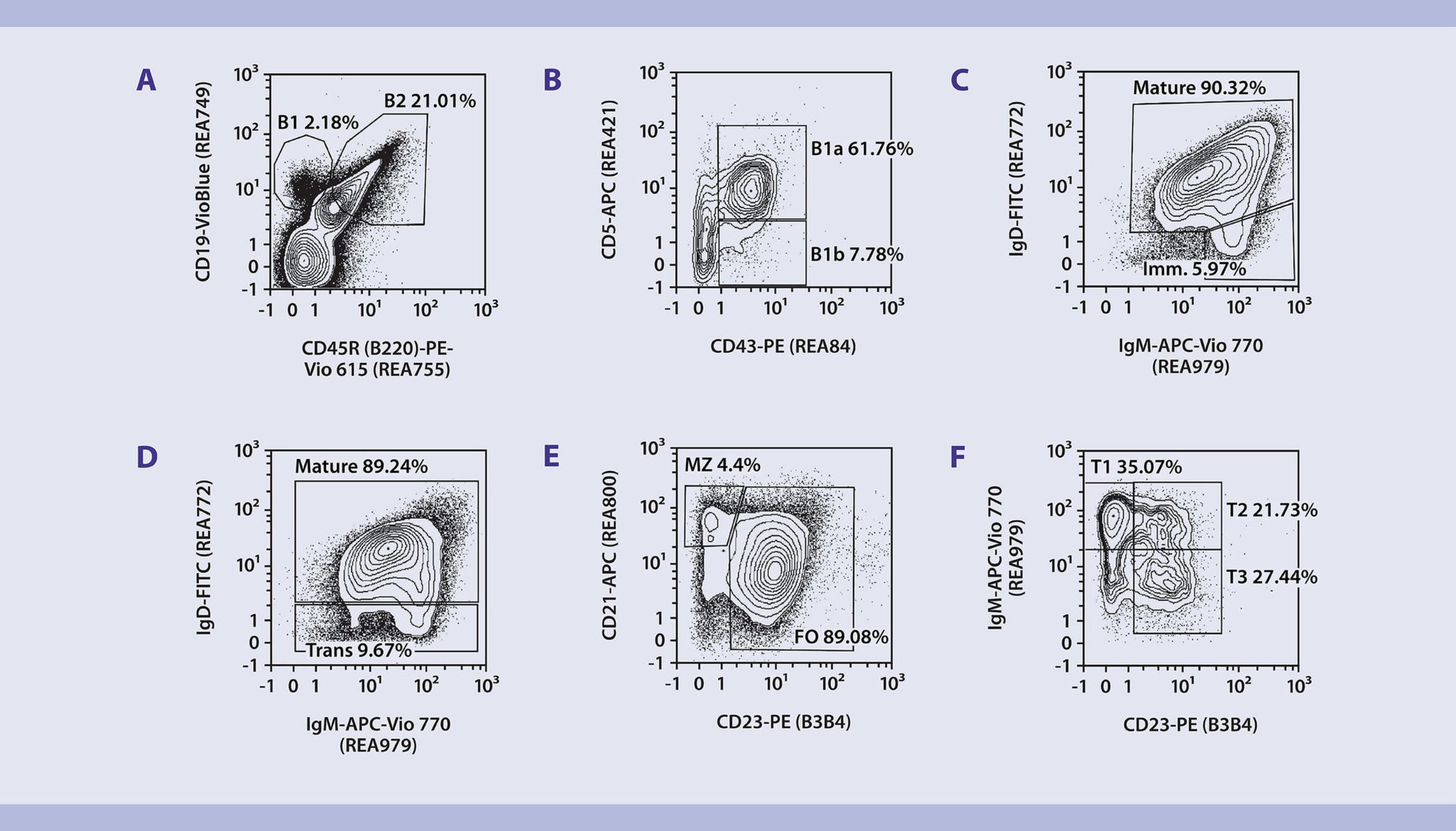 Immunophenotyping | mouse B cells from spleen | Protocol | Miltenyi ...