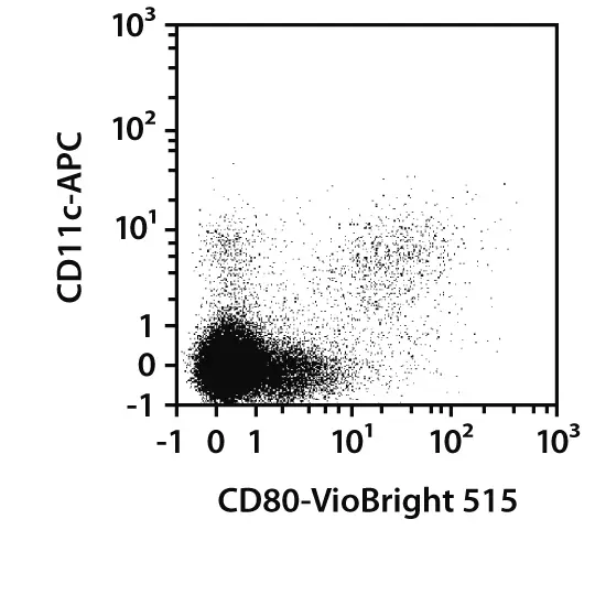CD80 Antibody, anti-mouse, REAfinity™ | Miltenyi Biotec | 中国