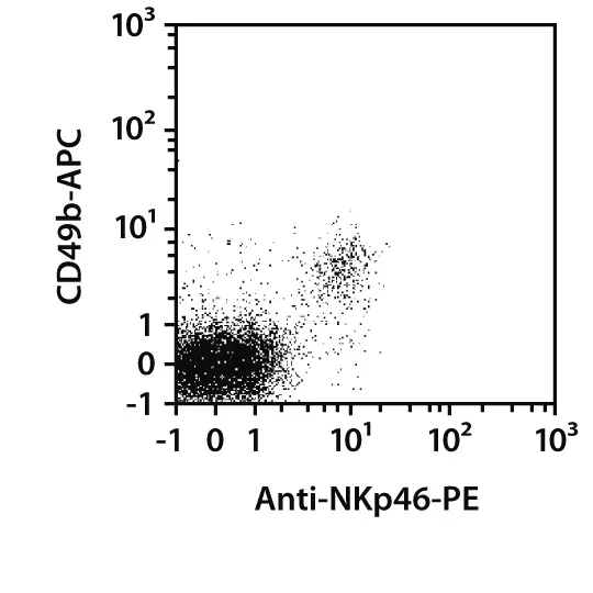 NK Cell Isolation Kit, mouse | Miltenyi Biotec | India