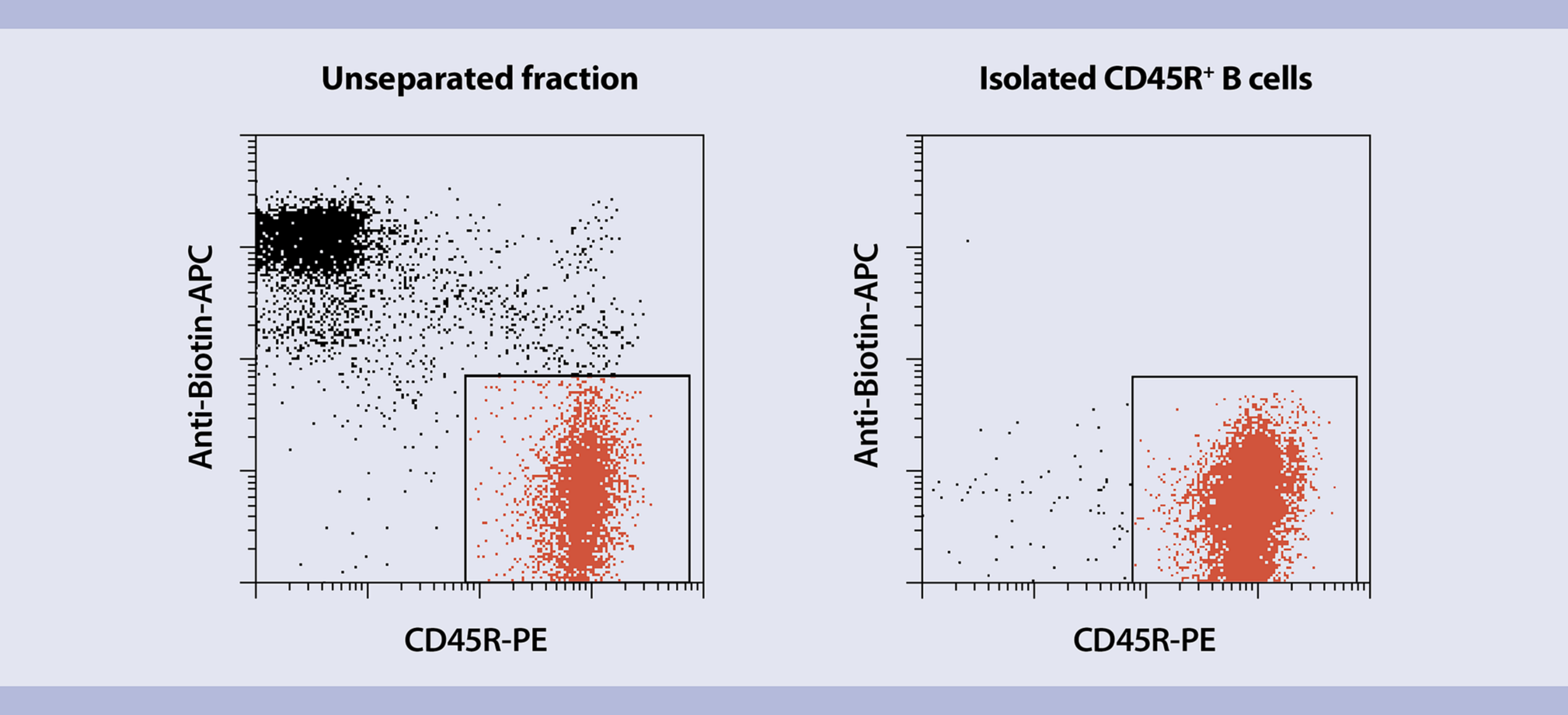 B cells (mouse) | Miltenyi Biotec | France