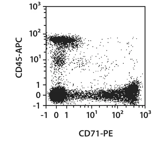 CD71 Antibody, anti-human | Miltenyi Biotec | USA