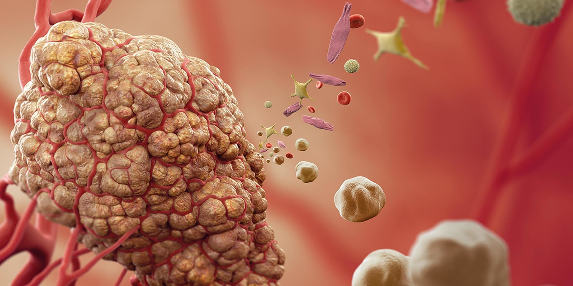 Light sheet microscopy | UltraMicroscope Platform | Visualizing complex ...