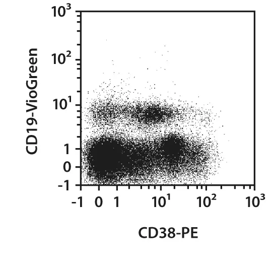 CD38 Antibody, anti-human, REAfinity™ | Miltenyi Biotec | 中国