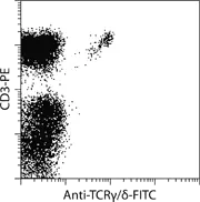 TCRγ/δ+ T Cell Isolation Kit, human | Miltenyi Biotec | USA