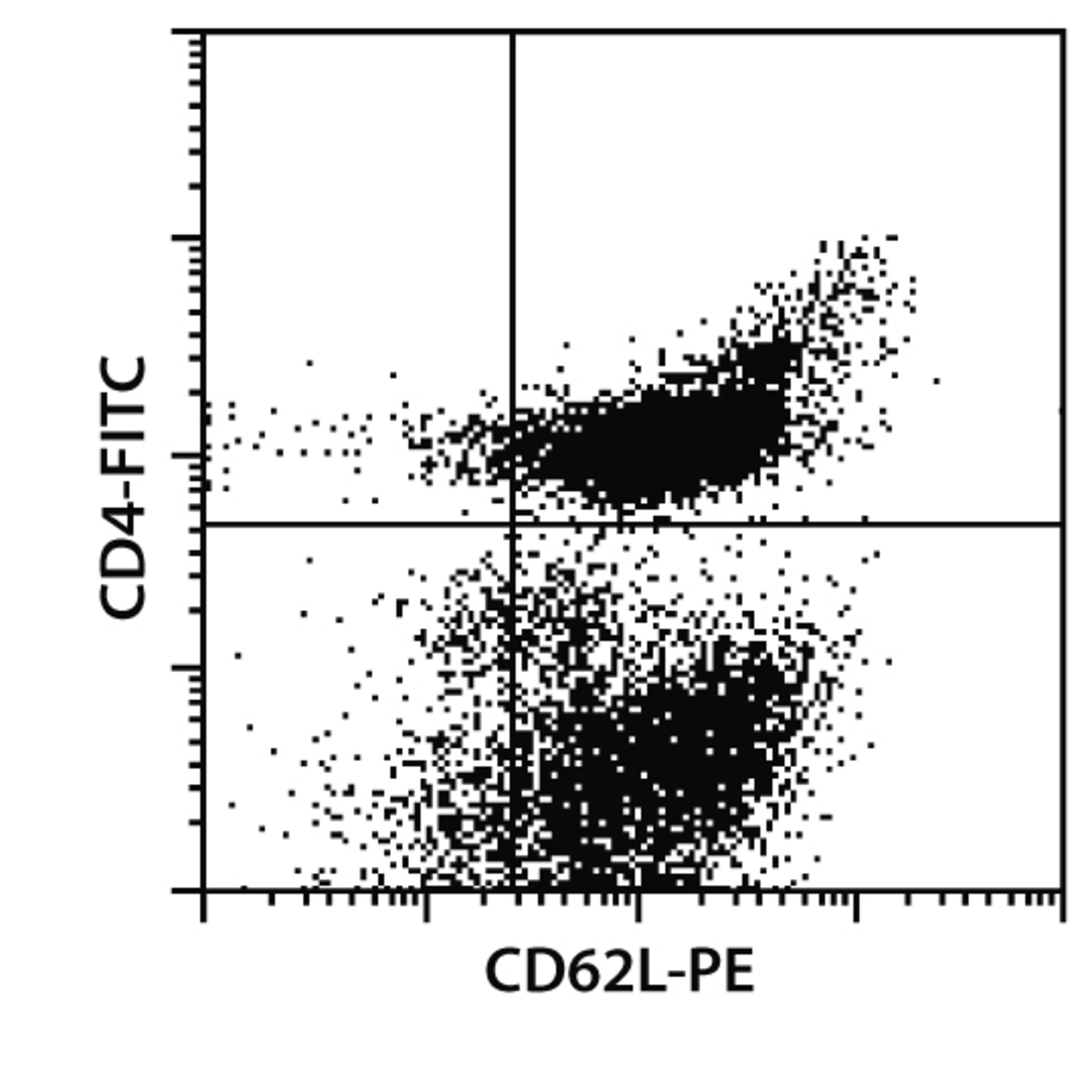CD4+ T cells (human) | Miltenyi Biotec | Great Britain