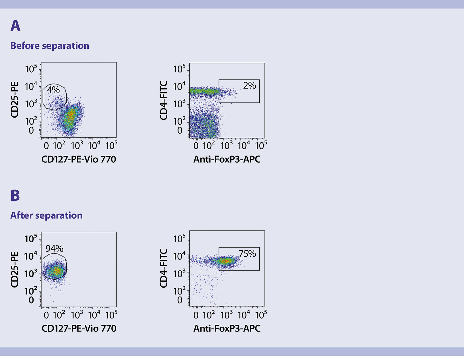 Regulatory T cells | T cell expansion | Protocol | Miltenyi Biotec | USA