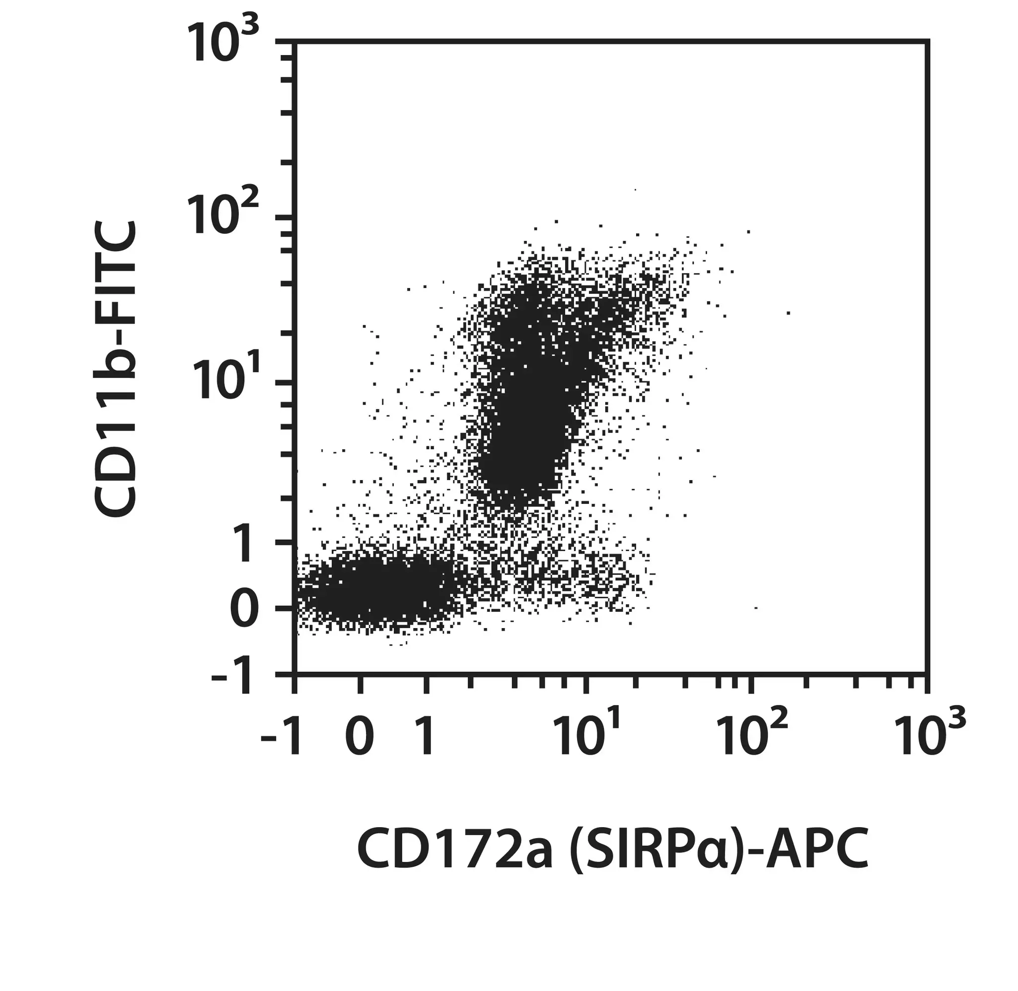 CD172a (SIRPα) Antibody, anti-mouse, REAfinity™ | Miltenyi Biotec | USA