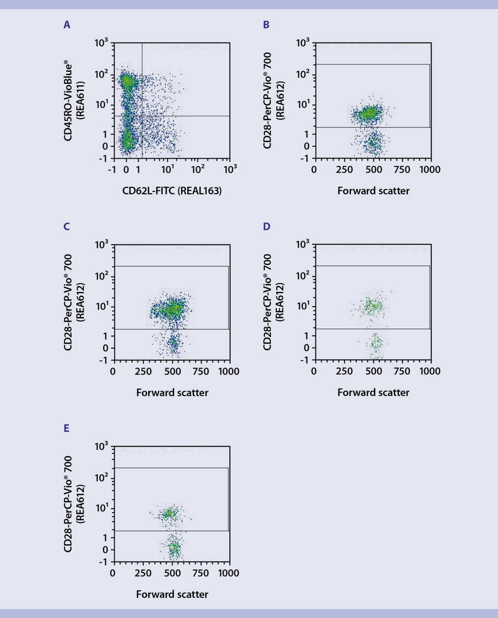 T cell maturation | MHC multimers | Protocol | Miltenyi Biotec | Great ...