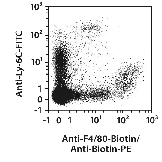 F4/80 Antibody, anti-mouse, REAfinity™ | Miltenyi Biotec | 中国