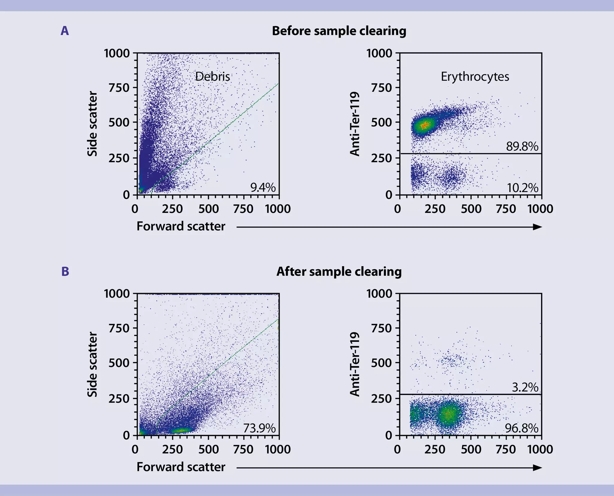 Astrocytes workflow | Isolation, characterization, cultivation ...