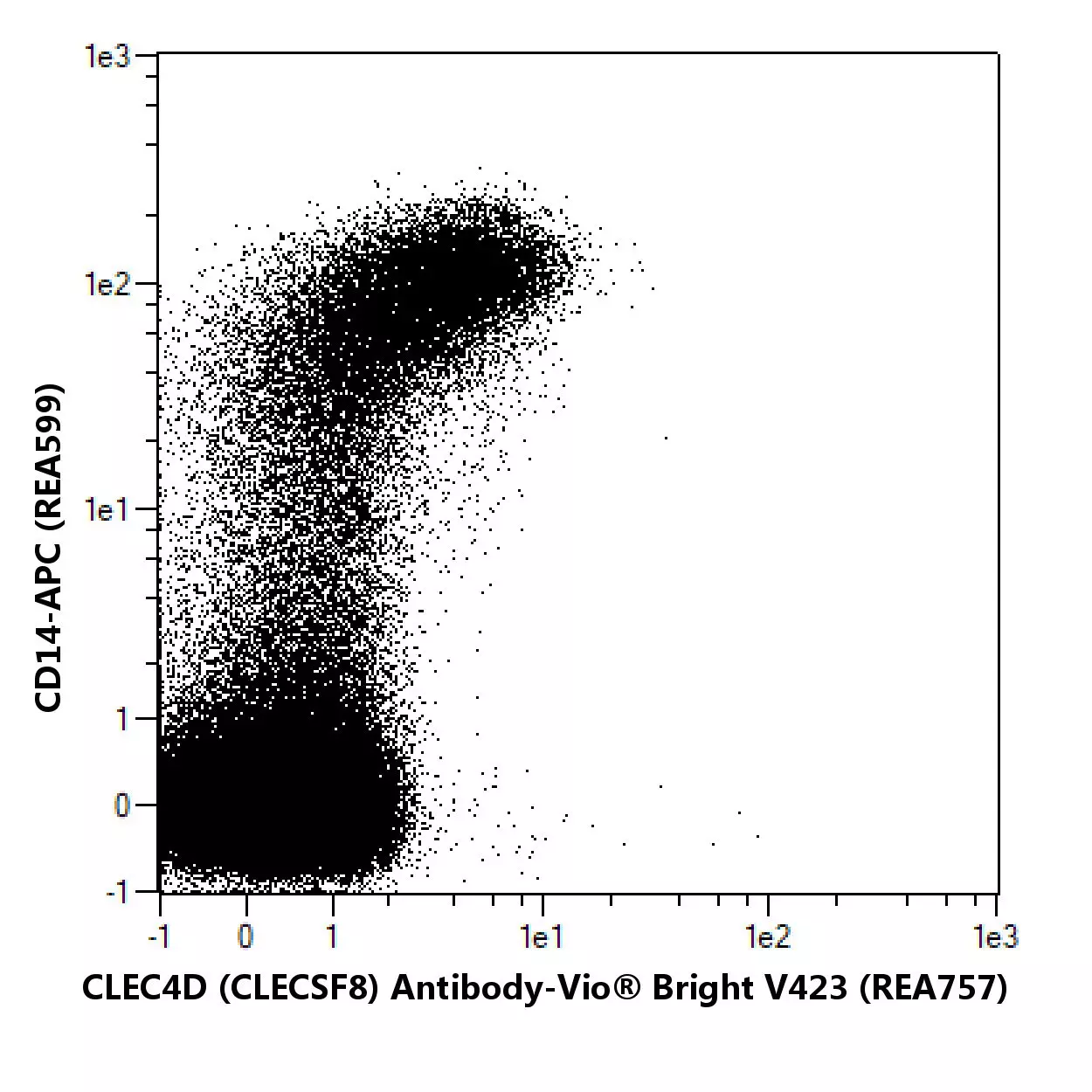 CLEC4D (CLECSF8) Antibody, anti-human, REAfinity™ | Miltenyi Biotec | USA