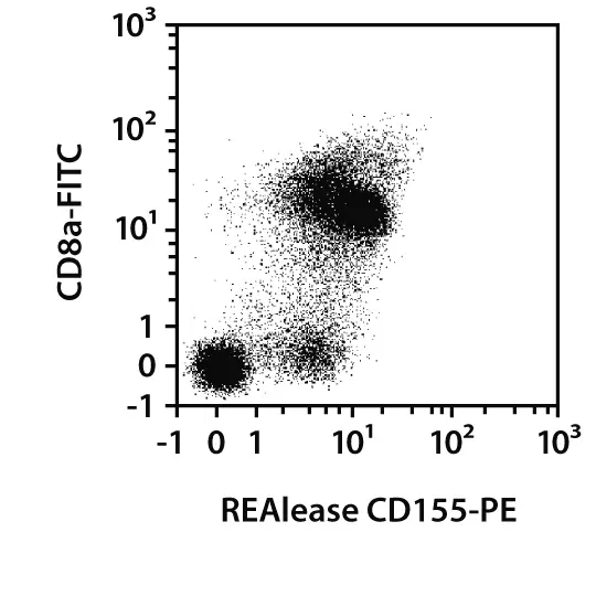 CD155 Antibody, anti-mouse, REAlease® | Miltenyi Biotec | USA