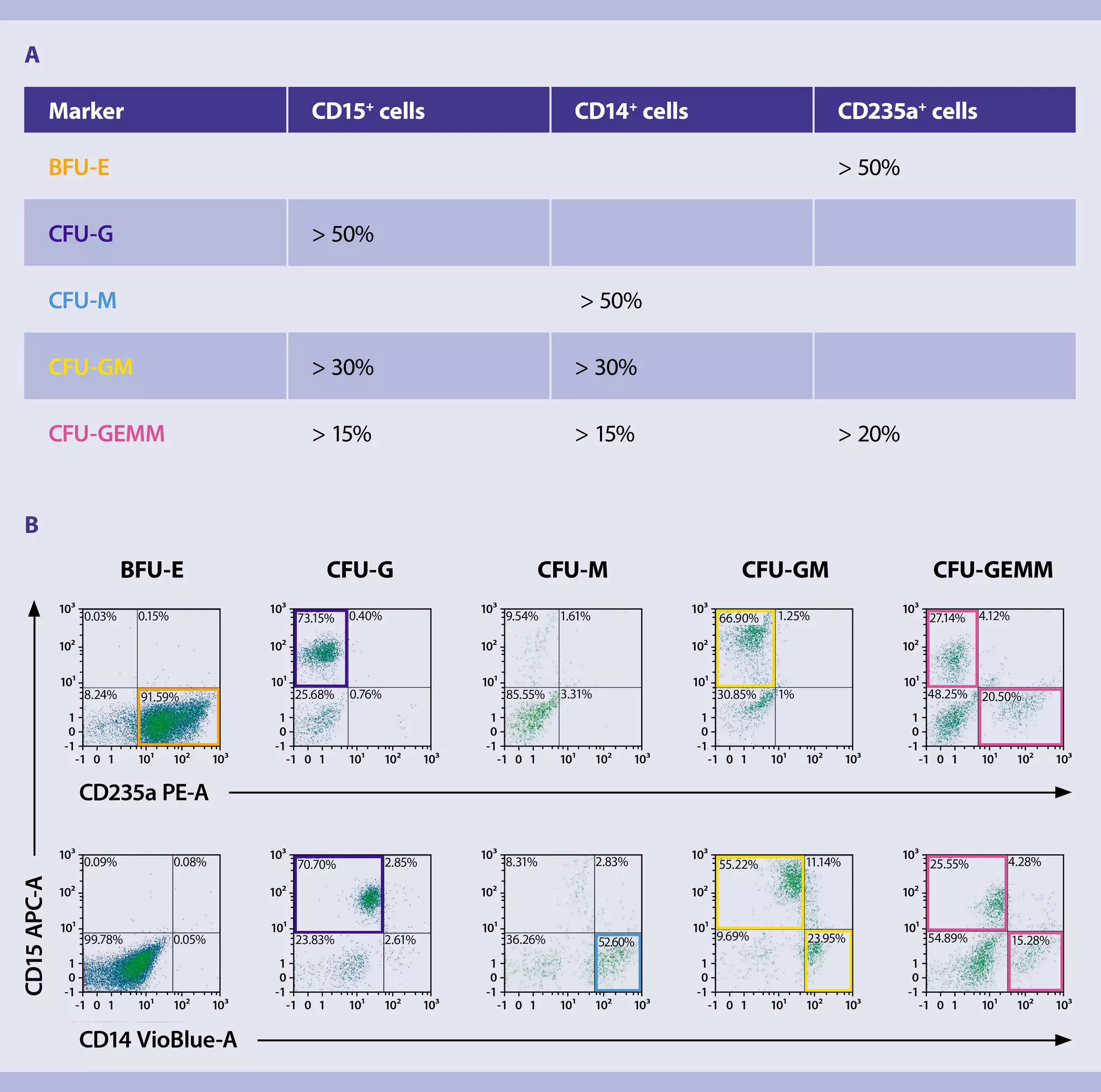 Human Hematopoietic Stem Cells | MACS Handbook | Miltenyi Biotec | 香港
