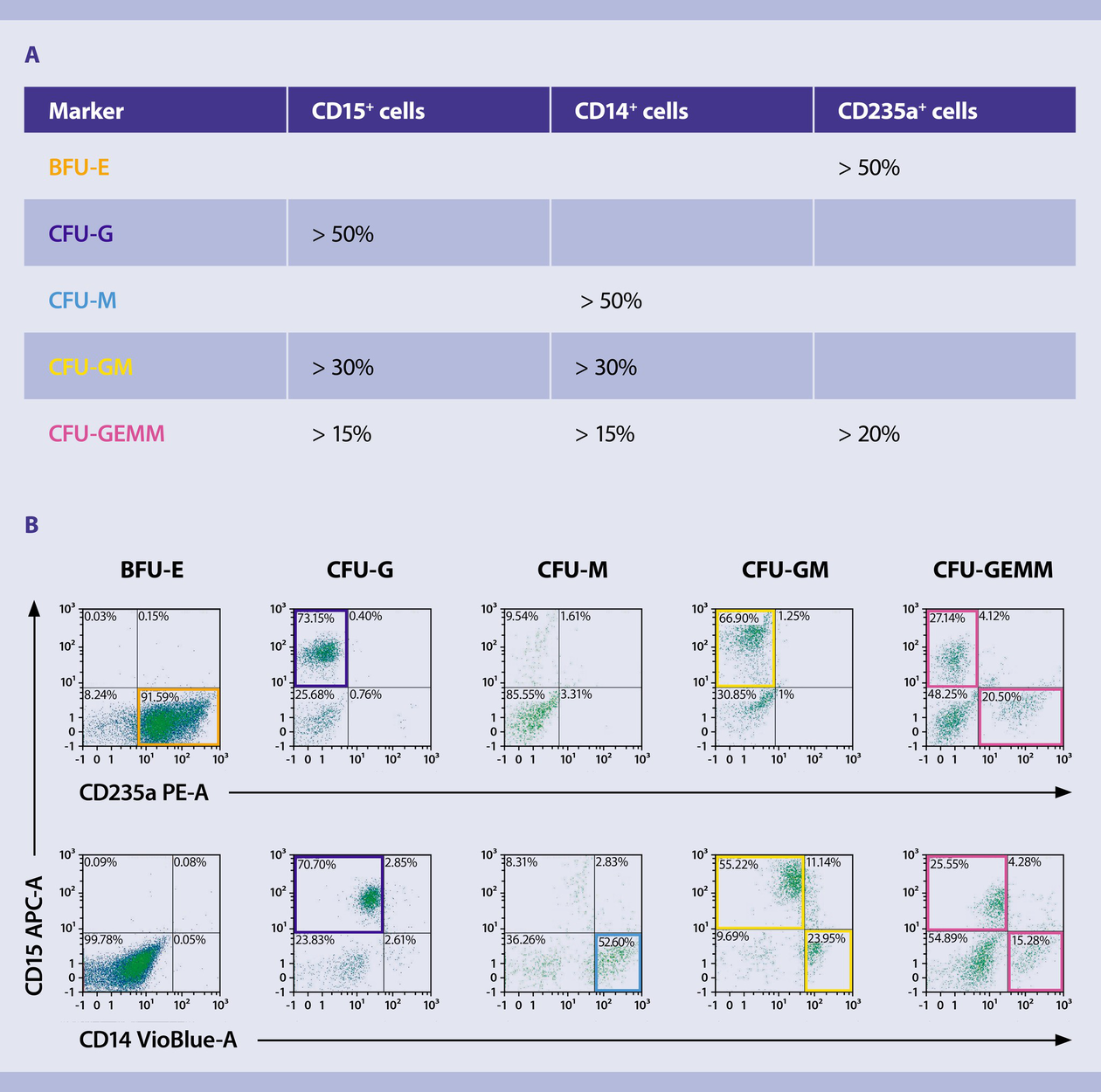 Human hematopoietic stem cells | Human HSC markers | Miltenyi ...