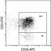 CD3+CD56+ NKT Cell Isolation Kit, human | Miltenyi Biotec | Deutschland