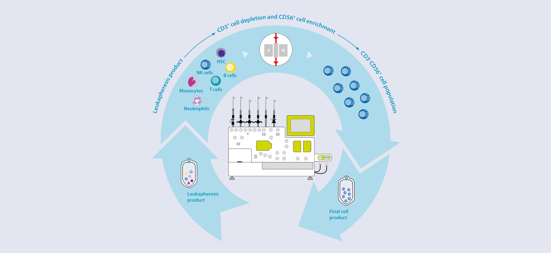 CAR NK cells therapy | NK cell manufacturing | Miltenyi | Miltenyi ...