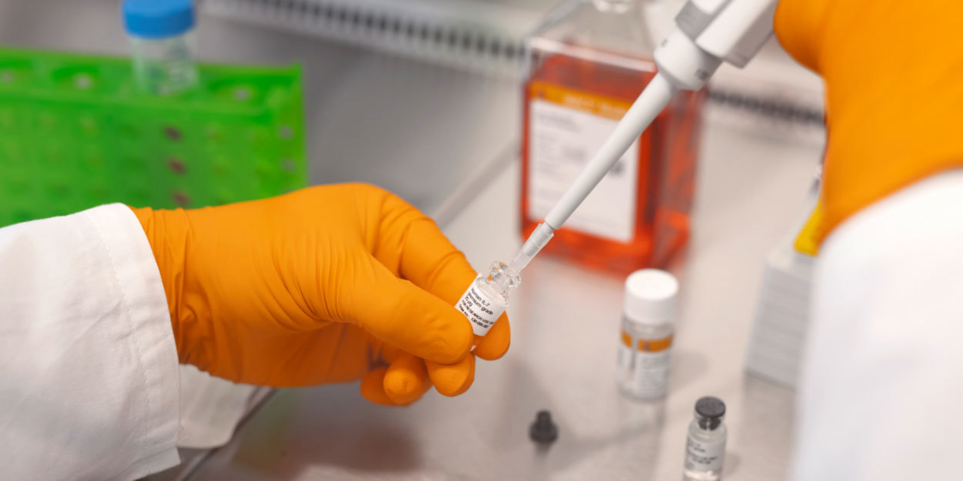 Pluripotent Stem Cell Research: Applications, Protocols & Support ...