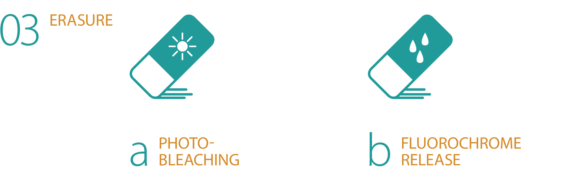 MICS technology | Cyclic staining |Cell & tissue imaging in spatial ...