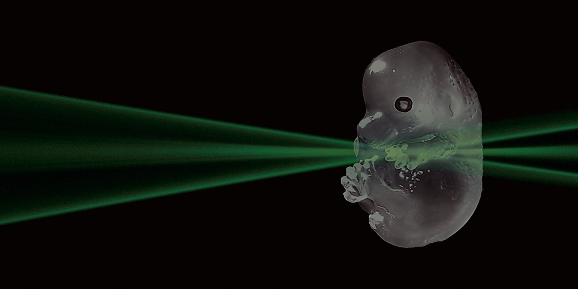 UltraMicroscope Choros™ | Miltenyi Biotec | France