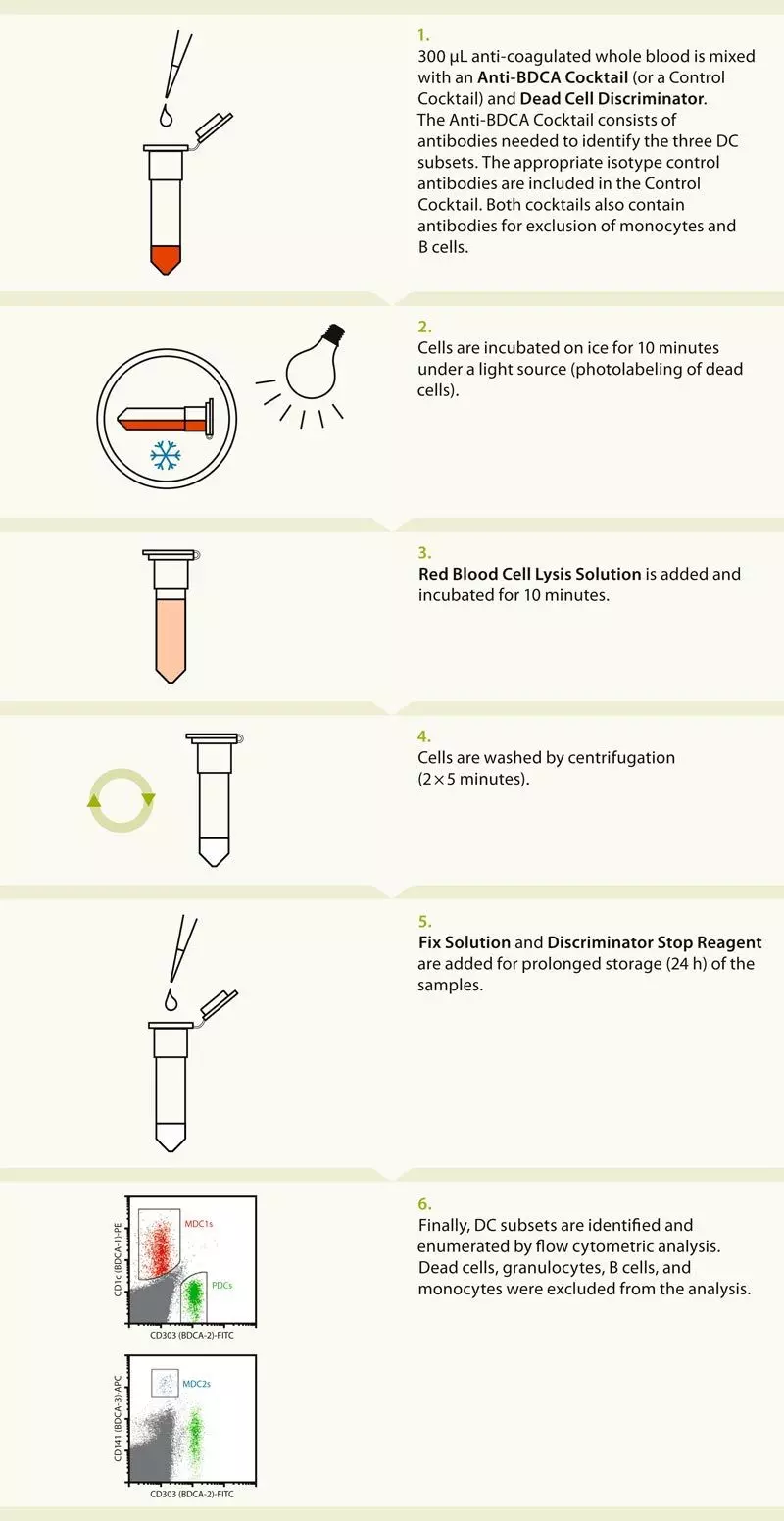 Blood Dendritic Cell Phenotyping Cocktail Kit, anti-human | Miltenyi ...