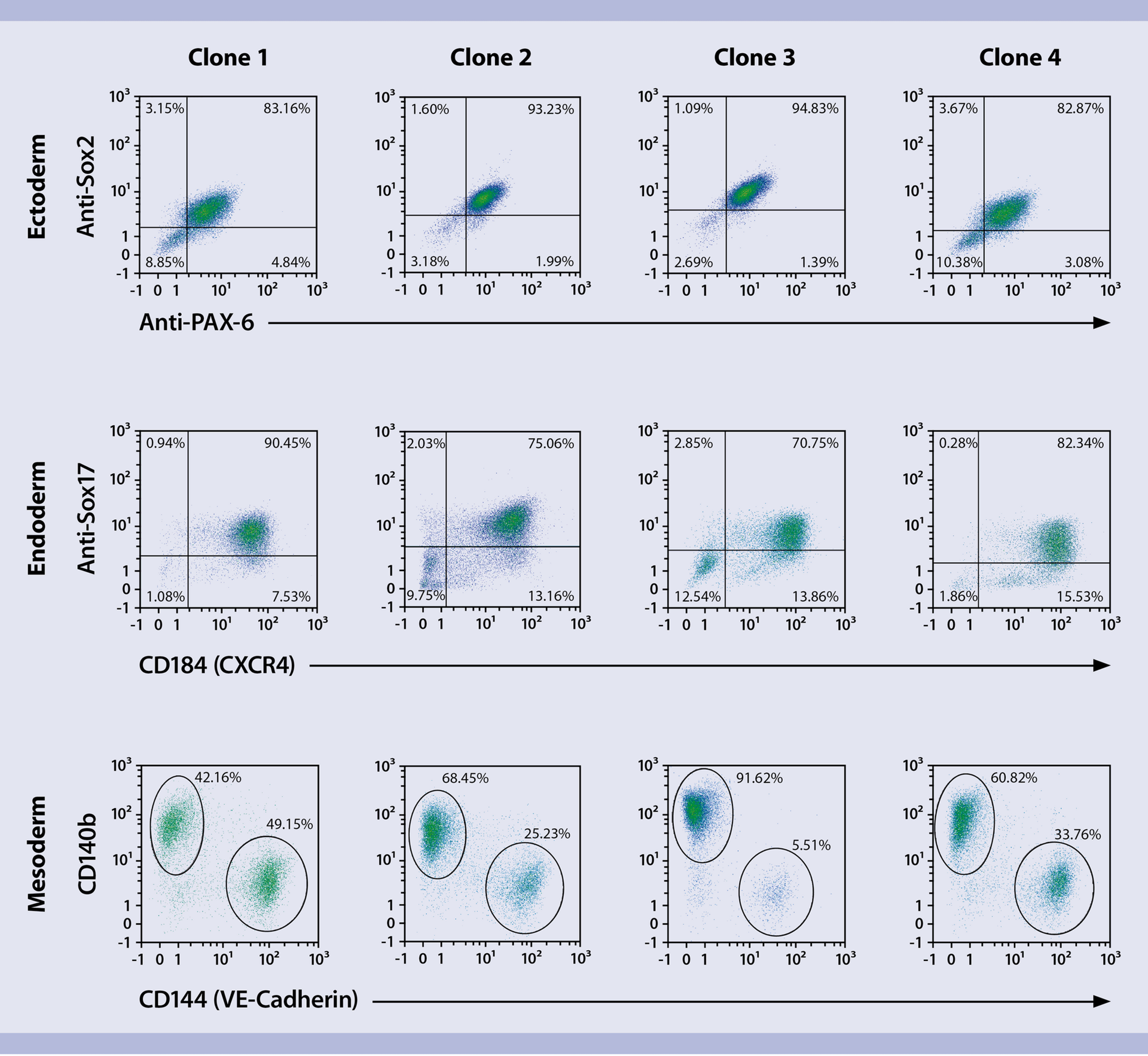 Human IPS cells | Human embryonic stem cells | Miltenyi Biotec | Singapore