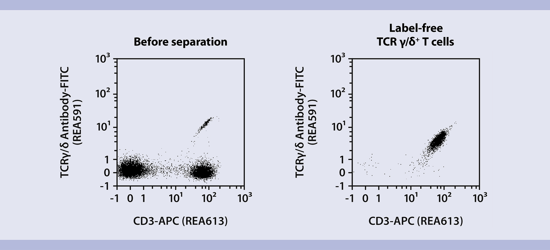 Gamma delta T cells | Research solutions | Miltenyi Biotec | Norge