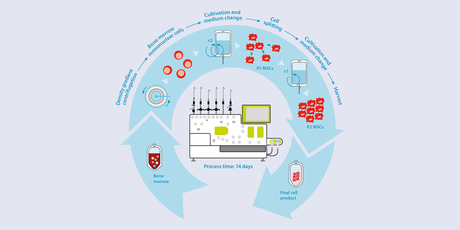 Application | Automated and GMP-compliant mesenchymal stem cell ...