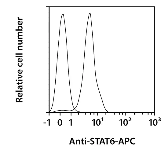 STAT6 Antibody, anti-human/mouse/rat, REAfinity™ | Miltenyi Biotec | USA