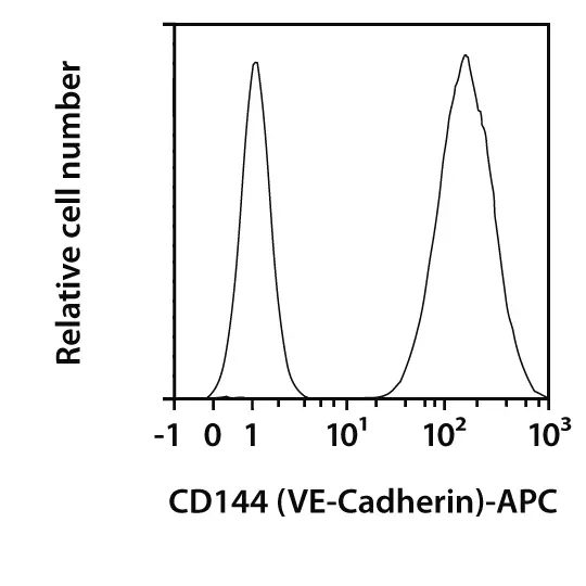 CD144 (VE-Cadherin) Antibody, anti-human, REAfinity™ | Miltenyi Biotec ...