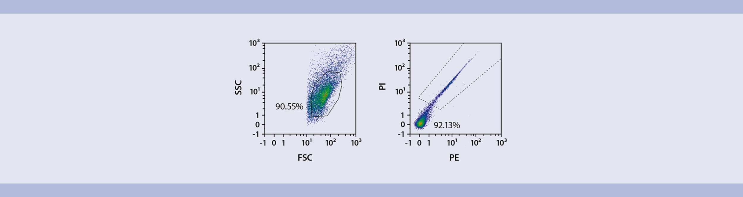 Satellite cells from mouse skeletal muscle | Protocol | Miltenyi Biotec ...