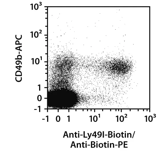 Ly-49I Antibody, anti-mouse, REAfinity™ | Miltenyi Biotec | Great Britain