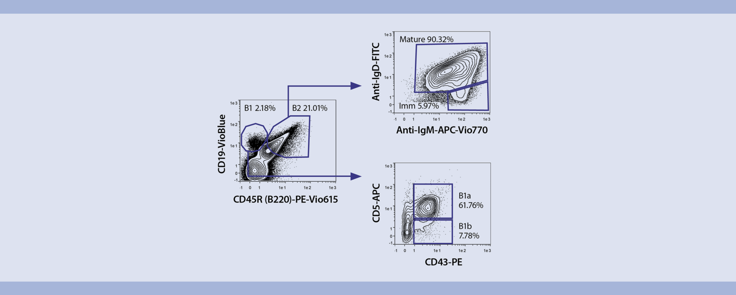 Flow cytometry | B cells from mouse spleen | Protocol | Miltenyi Biotec ...