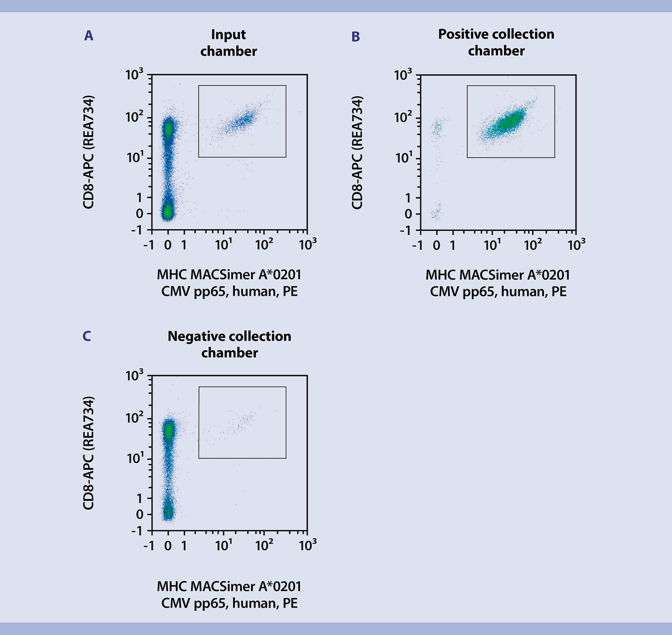 MHC multimer | antigen-specific T cells | MACSQuant Tyto Cell Sorter ...