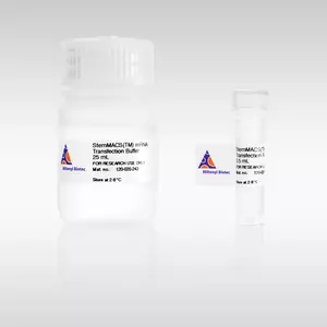 StemMACS™ mRNA Transfection Kit | Miltenyi Biotec | USA