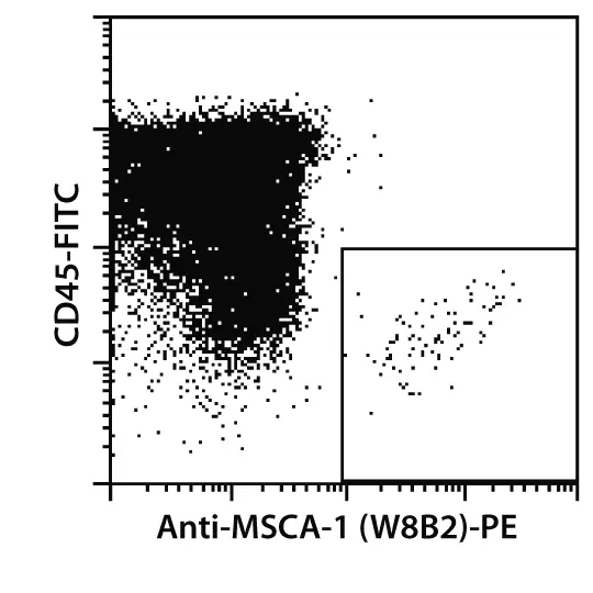 MSCA-1 Antibody, anti-human | Miltenyi Biotec | USA