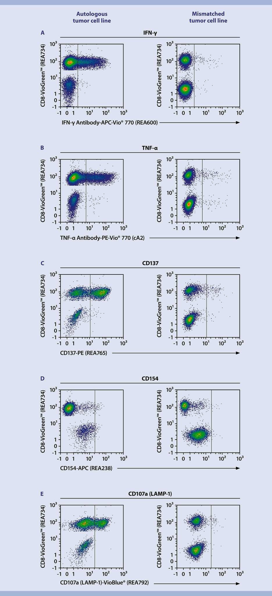 Tumor-reactive T cells | T cell functionality | Protocol | Miltenyi ...