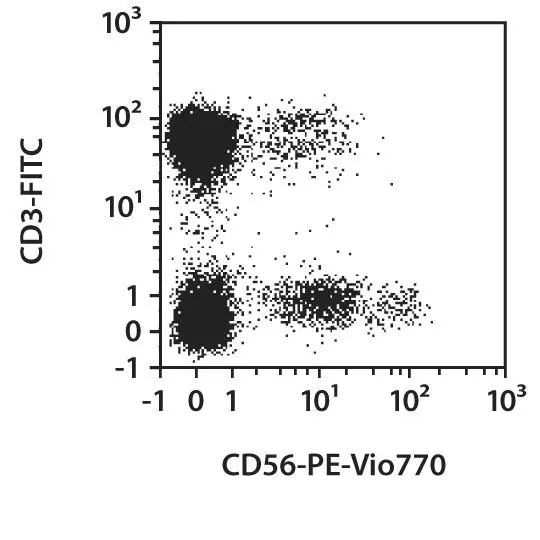 CD56 Antibody, anti-human | Miltenyi Biotec | USA