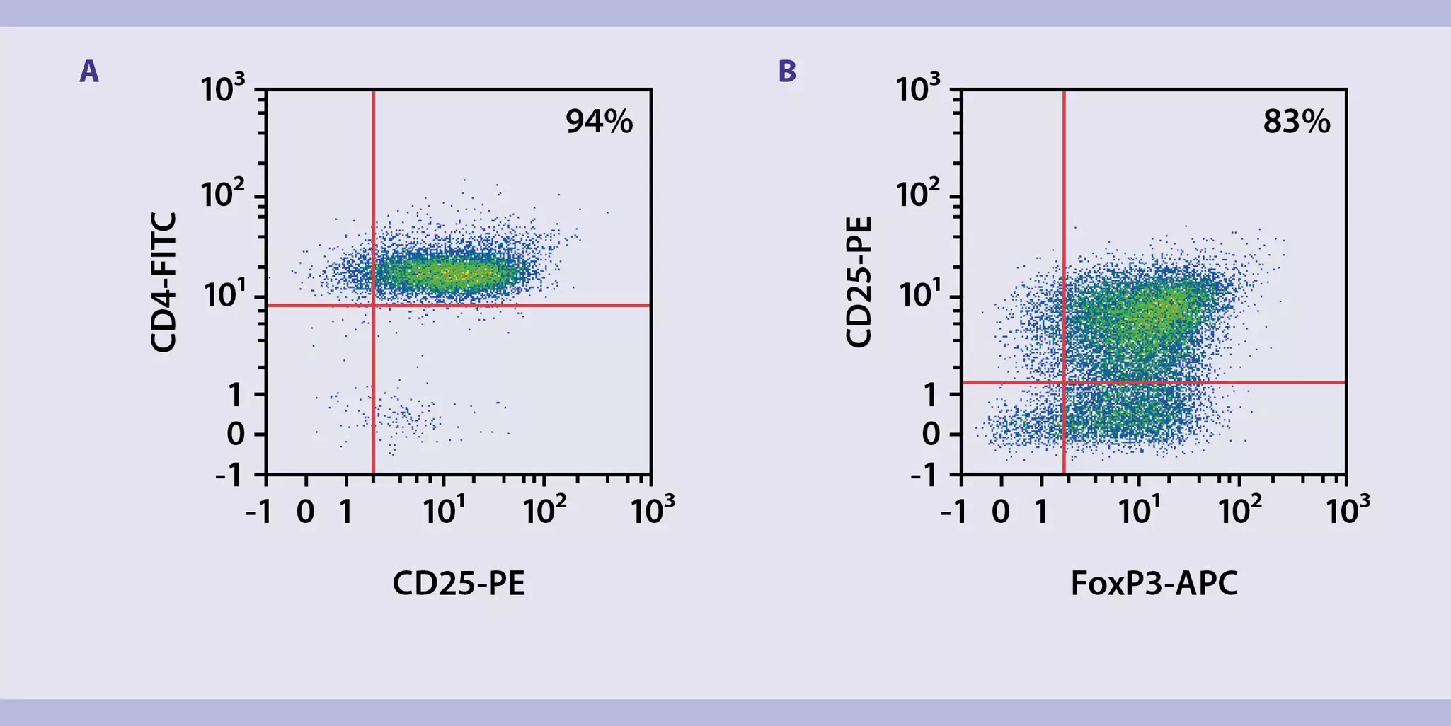 Regulatory t cells workflow | Activation, expansion and analysis ...